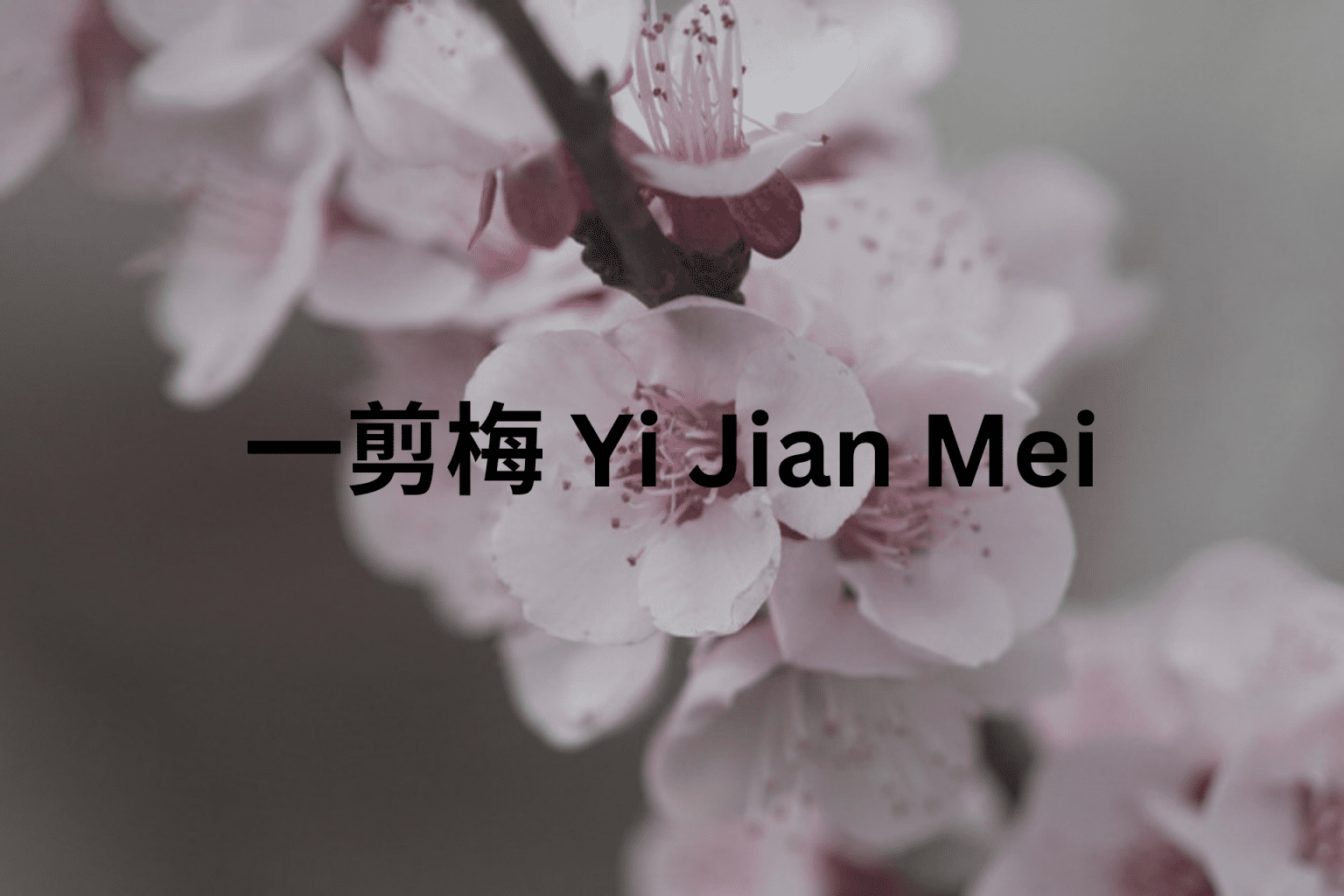 Yi Jian Mei 一剪梅